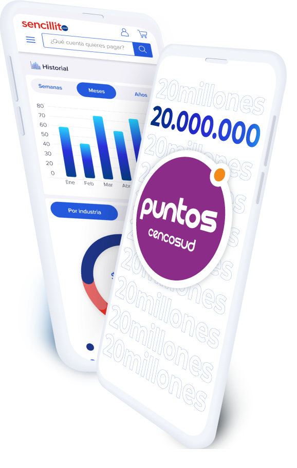 Inicio - Portal Publico